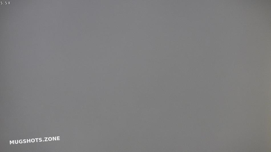 ALANIZ XAVIER SAGE 02/12/2021 - Isabella County Mugshots Zone