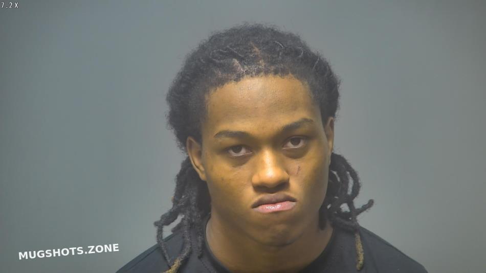 ROBINSON RAPHAEL APOLLO JR 09/03/2023 - Isabella County Mugshots Zone