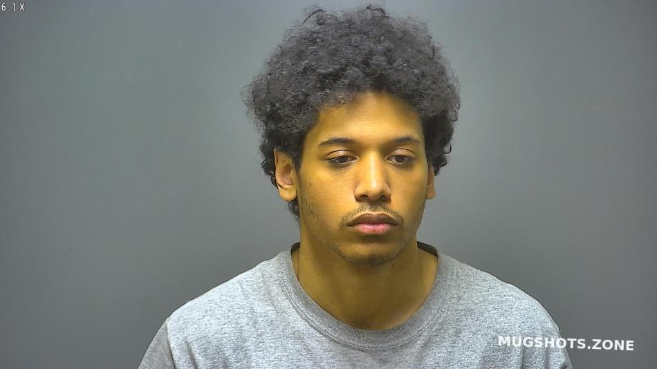 MAZANHANGA LAYTON LANCE ROY 12/10/2024 - Isabella County Mugshots Zone