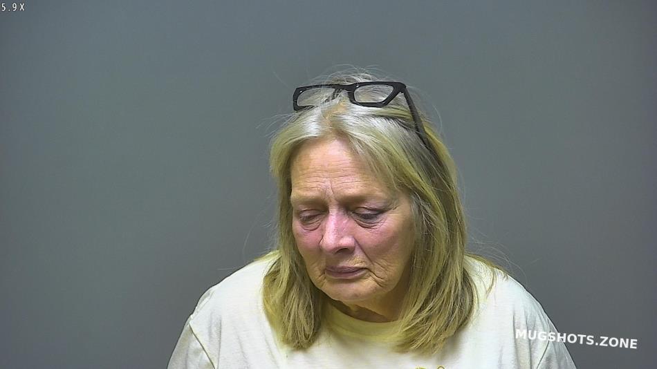 DAVIS PEGGY LYNN 12/21/2024 - Isabella County Mugshots Zone