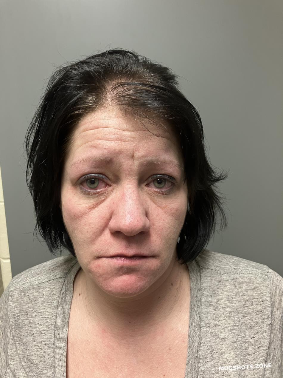 NUISMER ERICA ANN 02/24/2025 - Isabella County Mugshots Zone