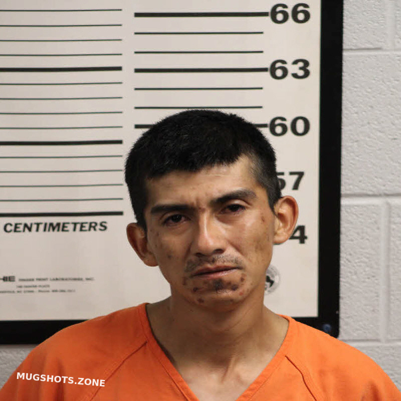 MENDEZ JOSE IVAN 08/11/2024 - Jackson County Mugshots Zone