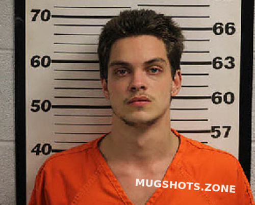 MEEKS DOMINIC STEVEN 11/20/2024 - Jackson County Mugshots Zone