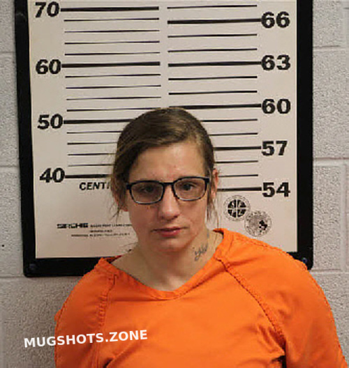 COGGINS FELISHA FAYE 04/27/2025 - Jackson County Mugshots Zone