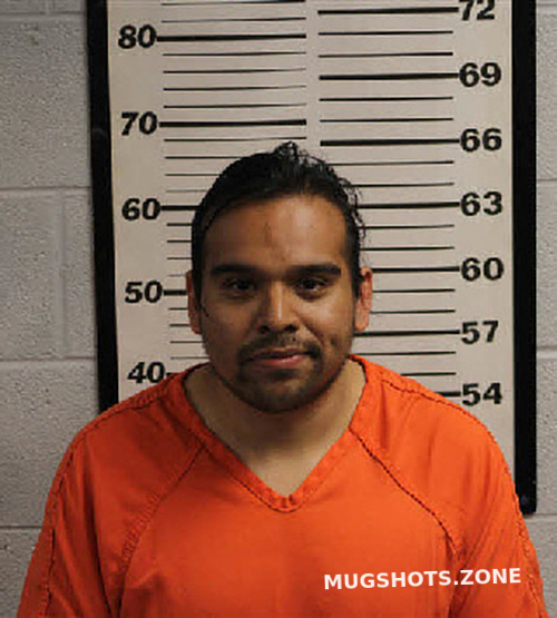 PEREZ CANSECO JOSE RENE 06/12/2025 - Jackson County Mugshots Zone