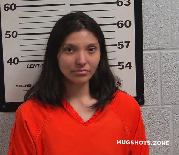LITTLE SHALINA LYNN 02/25/2026 - Jackson County Mugshots Zone