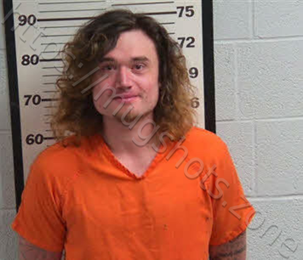 MATHENY ANDREW BRYANT 03/16/2026 - Jackson County Mugshots Zone