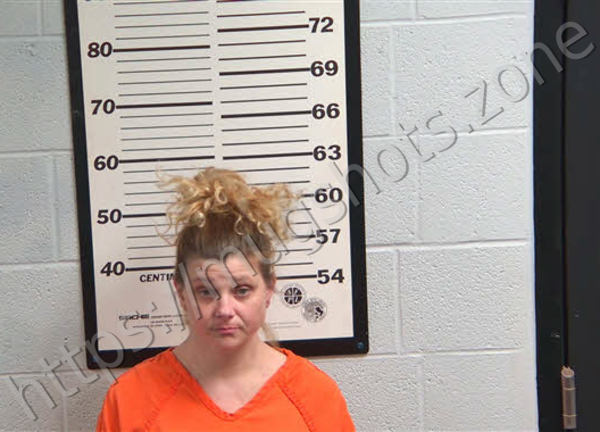 MEZYK AMANDA LEE 03/24/2026 - Jackson County Mugshots Zone