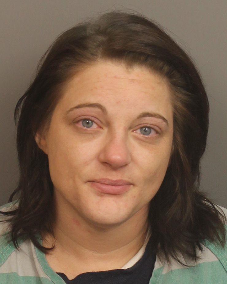 TICE LAURA ANN 03/19/2021 - Jefferson County Mugshots Zone