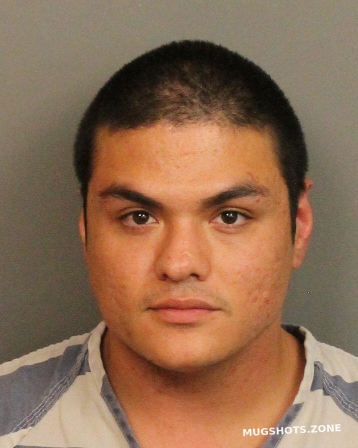 GREGUOL GIOVANNI ANGELO 11/01/2023 - Jefferson County Mugshots Zone