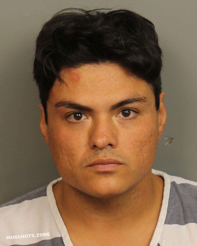 GREGUOL GIOVANNI ANGELO 11/17/2023 - Jefferson County Mugshots Zone