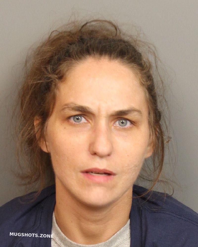 ANDERSON JESSICA LYNN 08/06/2024 - Jefferson County Mugshots Zone