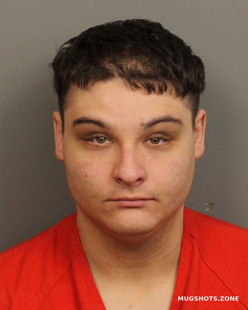 RENO CHARLES BRIAN 09/20/2024 - Jefferson County Mugshots Zone