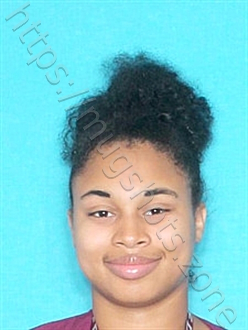 KESHONNA RACQUELLE LEWIS 04/01/2026 - Jefferson Davis Parish Mugshots Zone
