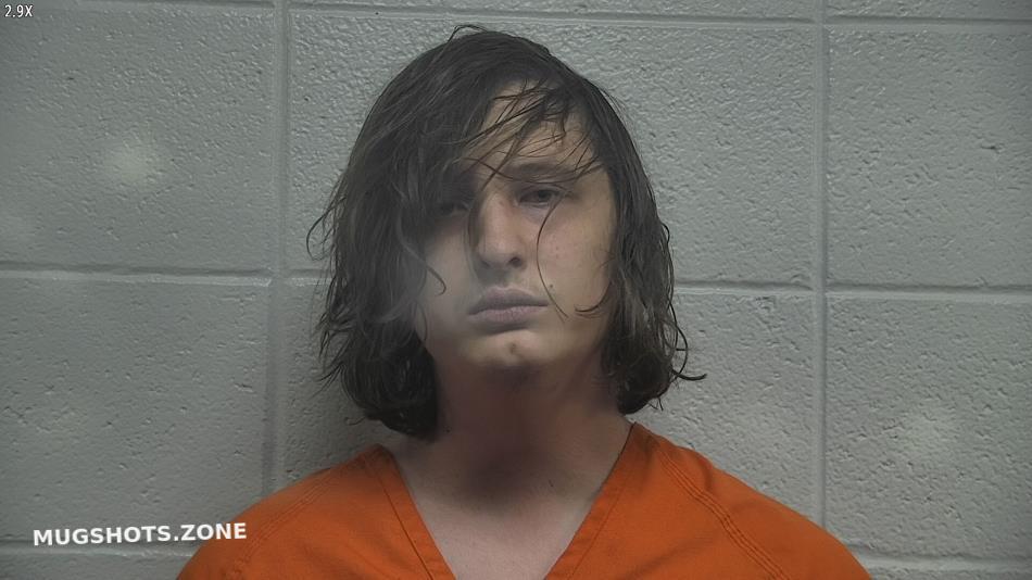 LINNIK DAVID RON 02/23/2025 - Jessamine County Mugshots Zone