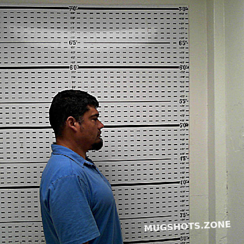 LANDEROS CONSTANTINO "TINO" 02/27/2024 - Jim Wells County Mugshots Zone