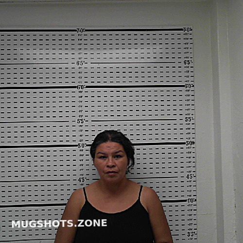 HINOJOSA TANYA 03/29/2024 - Jim Wells County Mugshots Zone