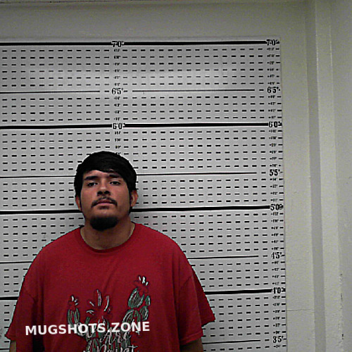 REYNA ADRIAN 04/03/2024 - Jim Wells County Mugshots Zone