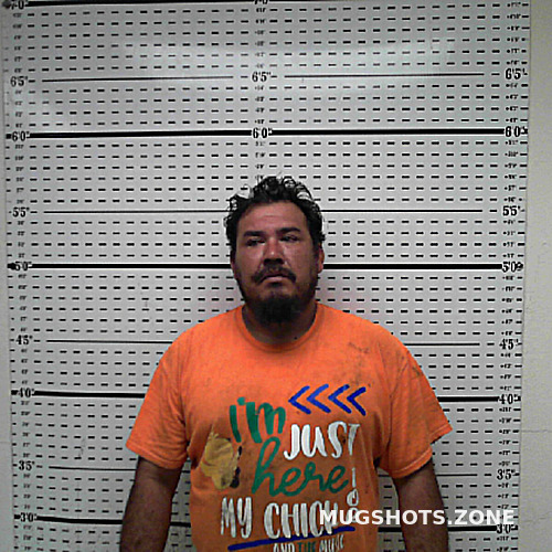 SALINAS RICHARD CASTELLANO 06/07/2024 - Jim Wells County Mugshots Zone