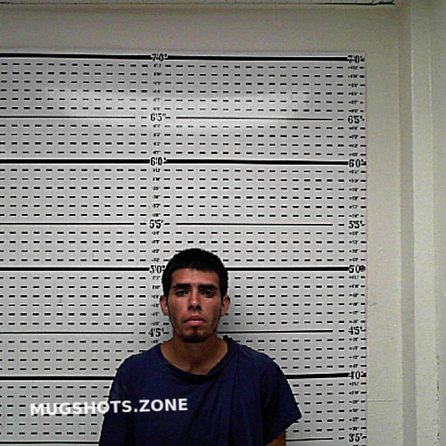 PEREZ-HERNANDEZ DOMINIC ISAIAH 08/24/2024 - Jim Wells County Mugshots Zone