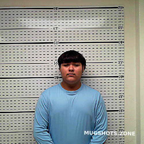 ALANIZ MARIO JESUS 11/07/2024 - Jim Wells County Mugshots Zone