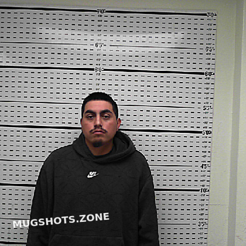ALANIZ ALEJANDRO 01/24/2025 - Jim Wells County Mugshots Zone