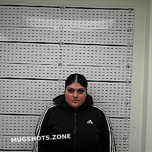 SALINAS RUBY RENEE 02/25/2025 - Jim Wells County Mugshots Zone