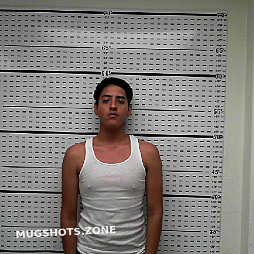 JASSO MIGUEL 04/29/2025 - Jim Wells County Mugshots Zone