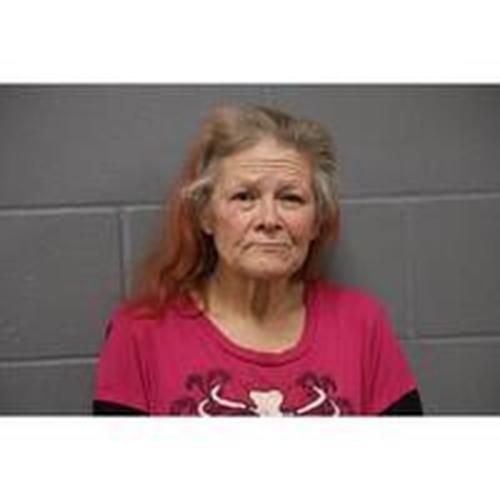 CONNIE BONO 01/10/2023 - Johnson County Mugshots Zone