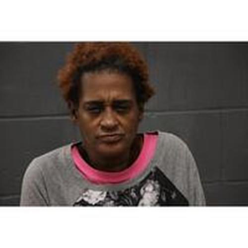 SARAH JACKSON 01/29/2023 - Johnson County Mugshots Zone