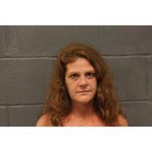 MICHELLE VANDERPOOL 06/15/2023 - Johnson County Mugshots Zone