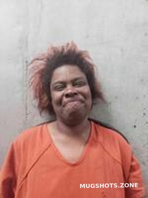 TIFFANY NICHOLE JOHNSON 01/04/2024 - Johnson County Mugshots Zone