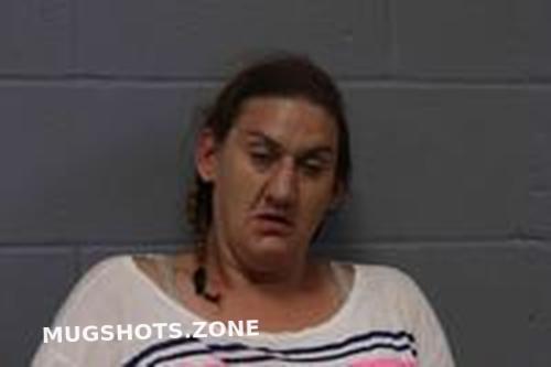 KELLEY RENEE SPRINGER 05/30/2024 - Johnson County Mugshots Zone