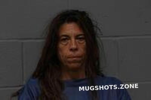 MICHELLE L BOLLINGER 07/03/2024 - Johnson County Mugshots Zone