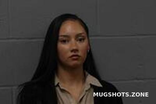 SHELBIE T CONSTANCE 07/18/2024 - Johnson County Mugshots Zone