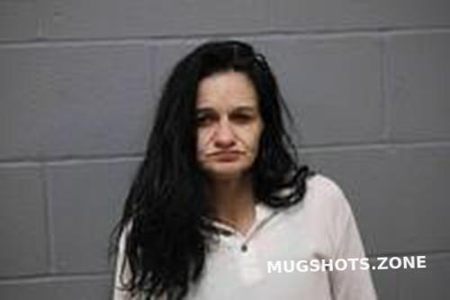 AMANDA DIANE PARROTT-REXIUS 11/19/2024 - Johnson County Mugshots Zone