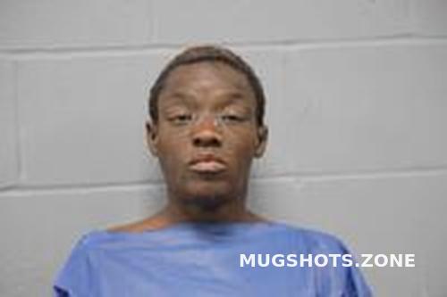 TIFFANY LASHAUN WILLIAMS 12/23/2024 - Johnson County Mugshots Zone