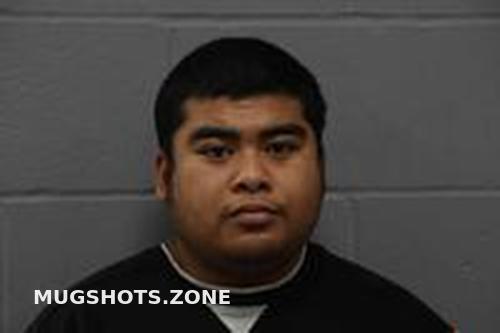 ALEJANDRO ALEXANDER ALEXANDER 01/30/2025 - Johnson County Mugshots Zone