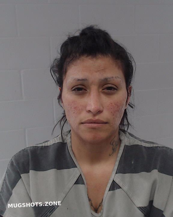 ENRIQUEZ APRIL ROXANNE 02/05/2022 - Johnson County Mugshots Zone