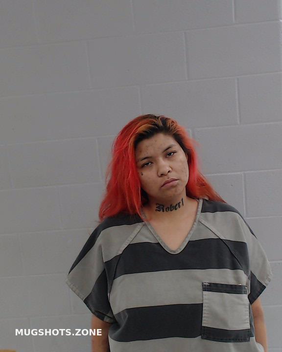 Salinas Dalilah Anita 06 18 2022 Johnson County Mugshots Zone