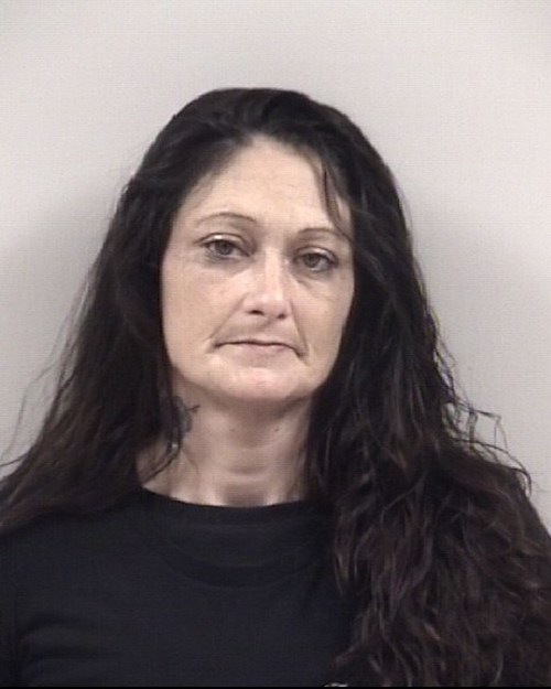 LISA MICHELL MAREADY 12/12/2020 - Johnston County Mugshots Zone