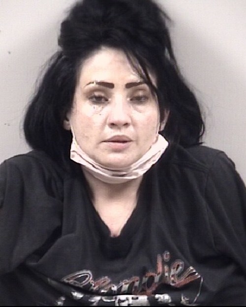HEATHER ELIZABETH HASSLER 12/31/2020 - Johnston County Mugshots Zone