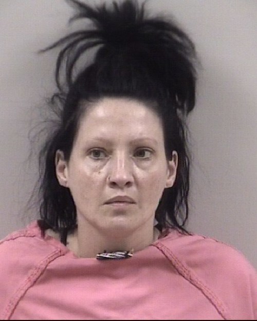 HEATHER ELIZABETH HASSLER 01/05/2021 - Johnston County Mugshots Zone