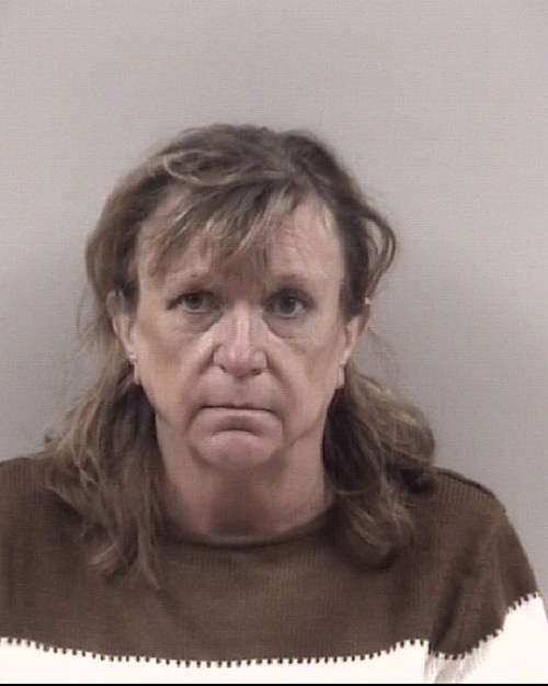 SONYA MAXWELL BAIN 01/27/2021 - Johnston County Mugshots Zone