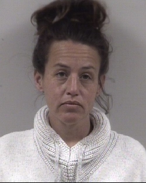 HEATHER LOUISE HALLISEY 02/18/2021 - Johnston County Mugshots Zone