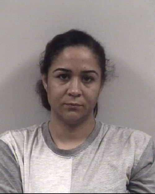 NICOLE LYNN ENRIGHT 03/02/2021 - Johnston County Mugshots Zone