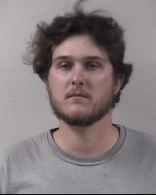 RYAN MATTHEW BRASWELL 03/20/2021 - Johnston County Mugshots Zone