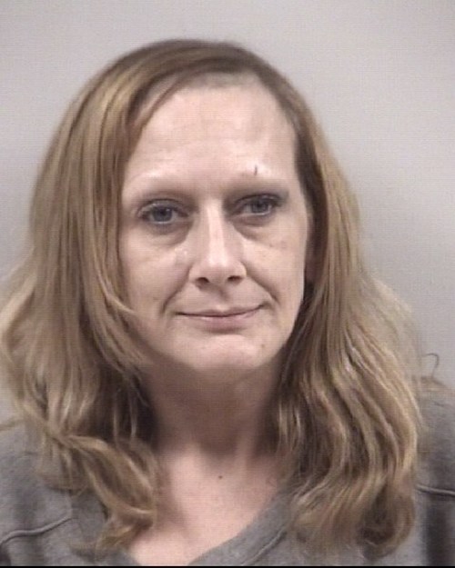 BRANDY NICOLE CASH 03/22/2021 - Johnston County Mugshots Zone
