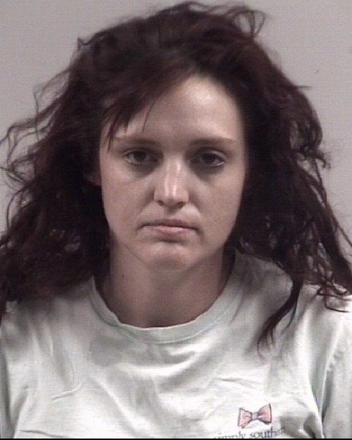 LISA MARIE PARKER 03/22/2021 - Johnston County Mugshots Zone
