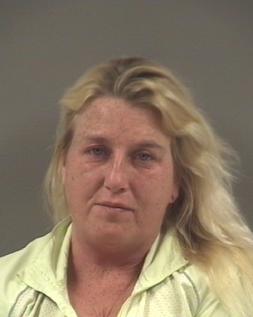 COLLEEN MARY TOWEY 04/14/2021 - Johnston County Mugshots Zone